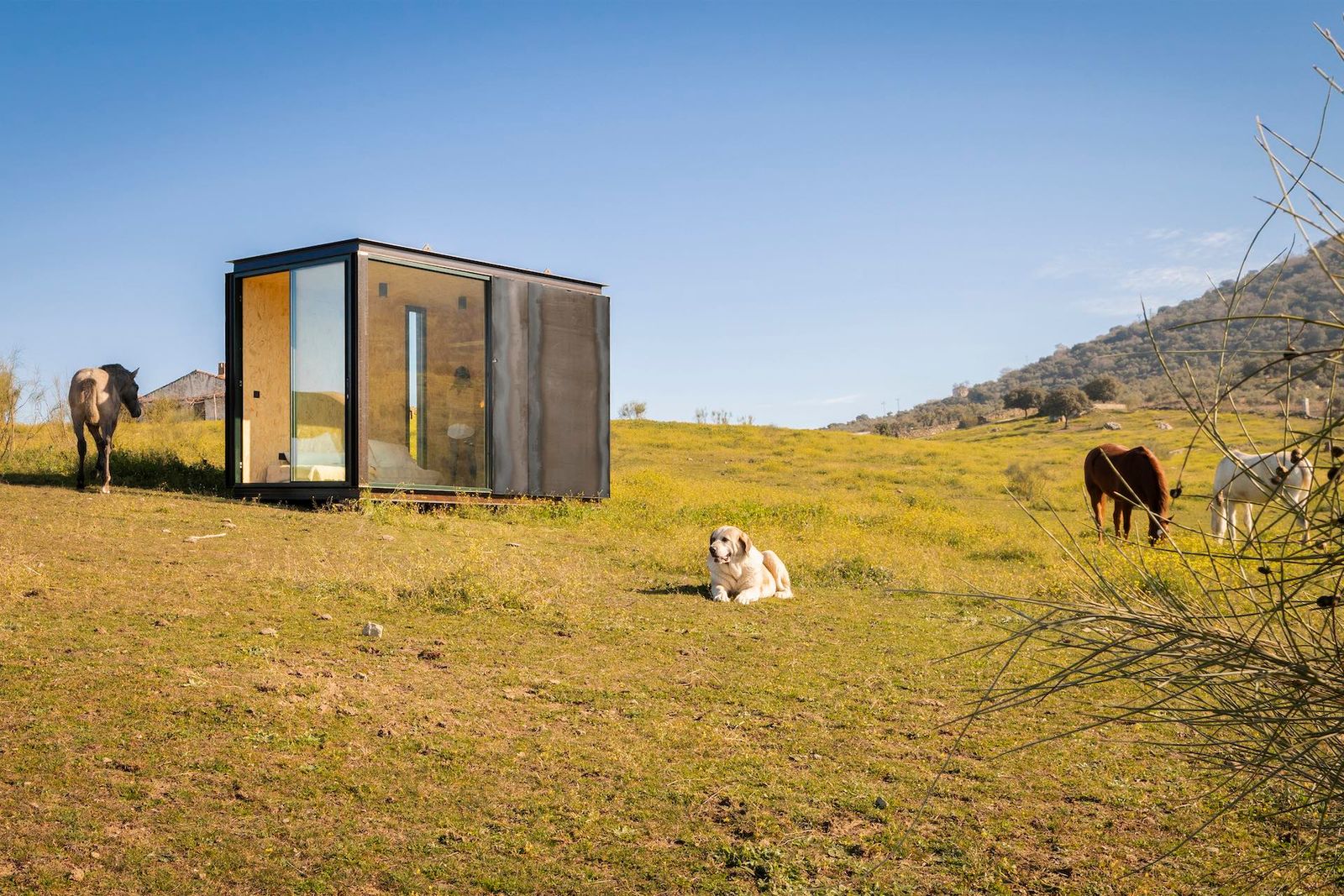 Tini XS Lumo Houses